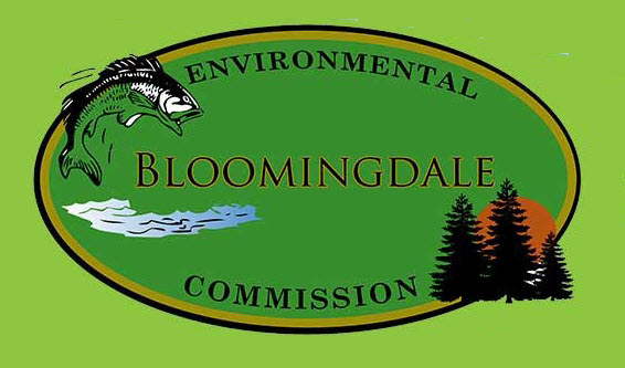 Environmental Commission - Borough of Bloomingdale